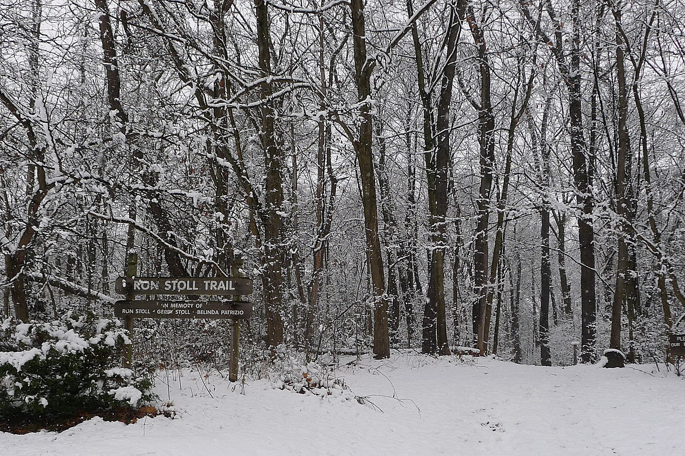 Murrysville Photo Contest: 2013 Photo Contest - C) Scenery and Plant Life