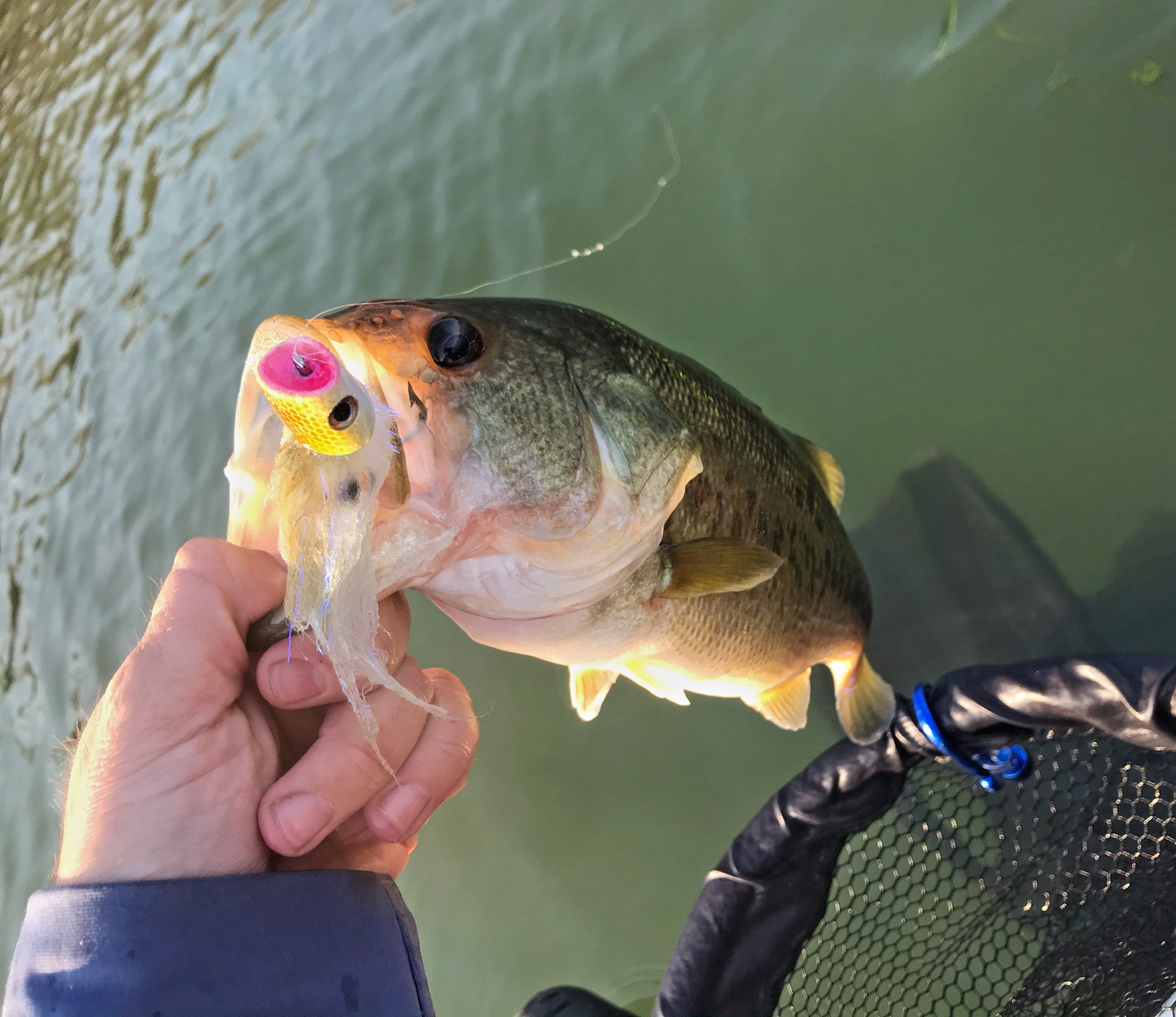 Universal Fly Fishing