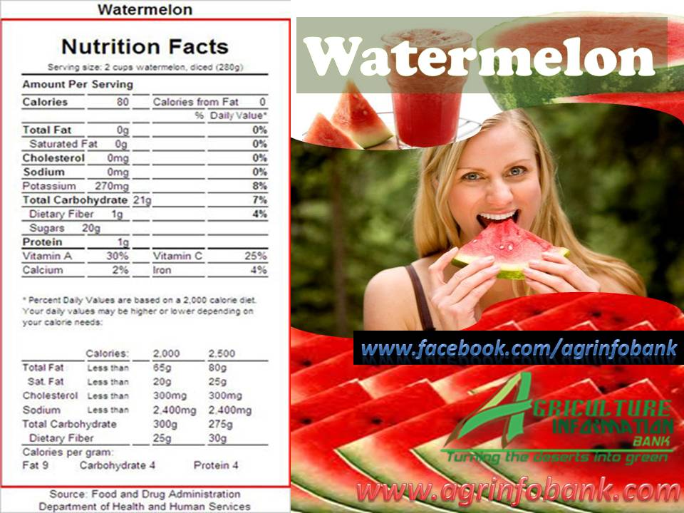 SUMMER!!! Fruit-Watermelon – Agriculture Information Bank