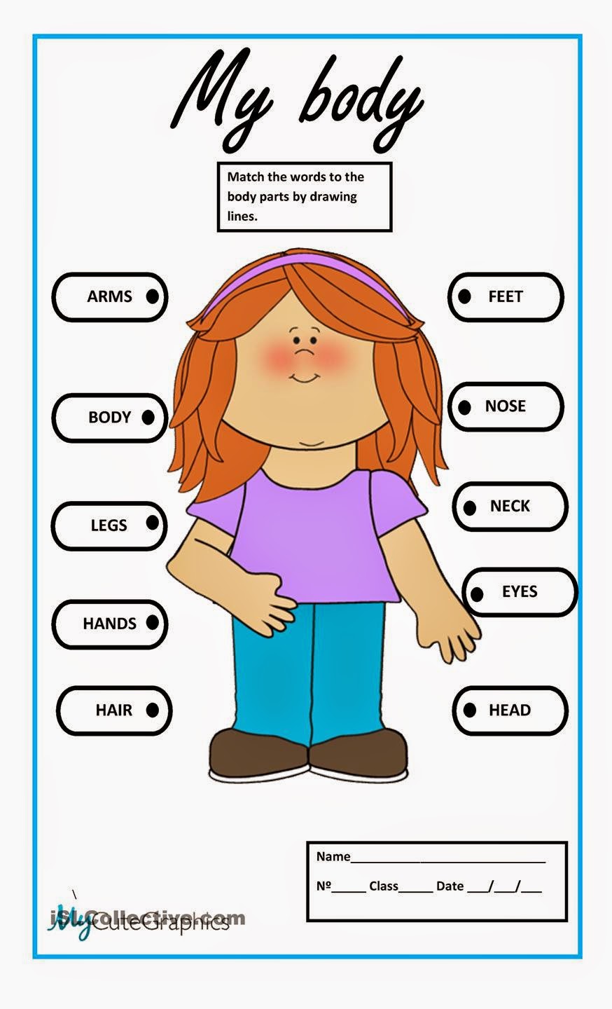 Primaria: My body.