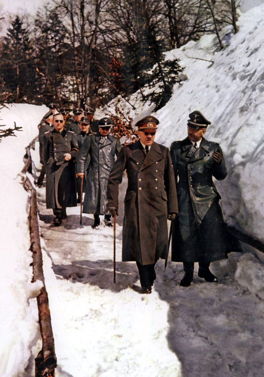 Heinrich Himmler Color