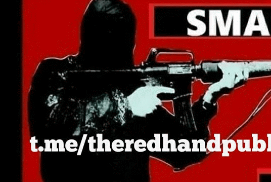 NSLF/ National Socialist Liberation Front