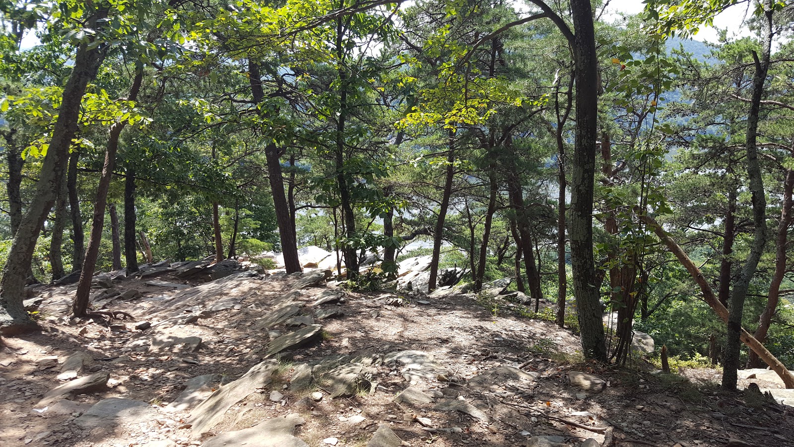 Hiking With Hammer: Weverton Cliff Hike