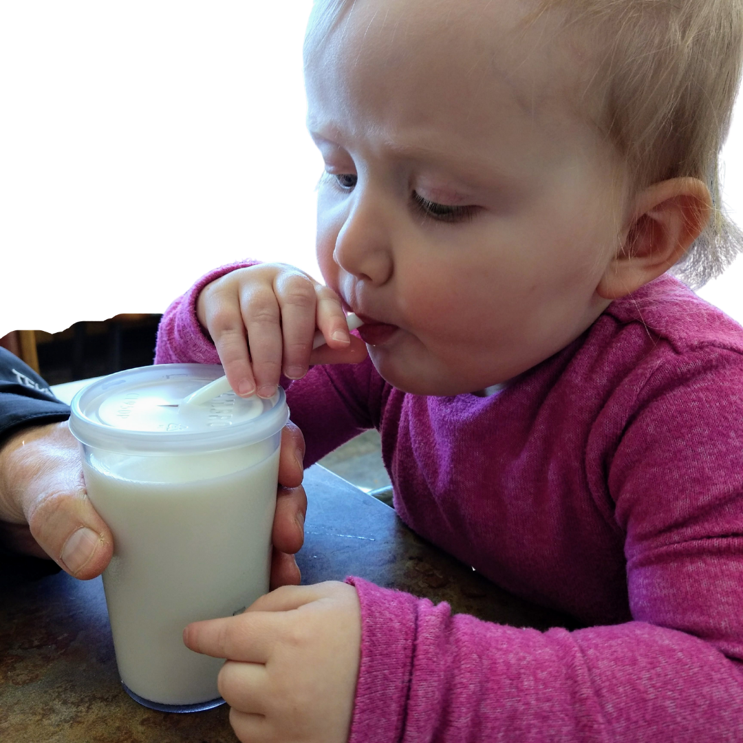 A TED-Ed Lesson Exploring the Pros and Cons of Types of Milk - Free ...