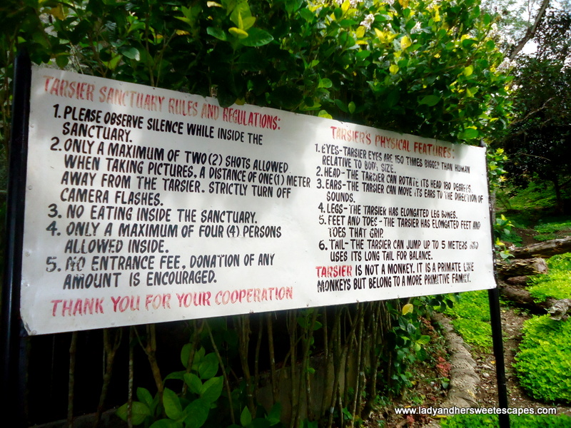 Bohol Countryside Tour | Lady & her Sweet Escapes