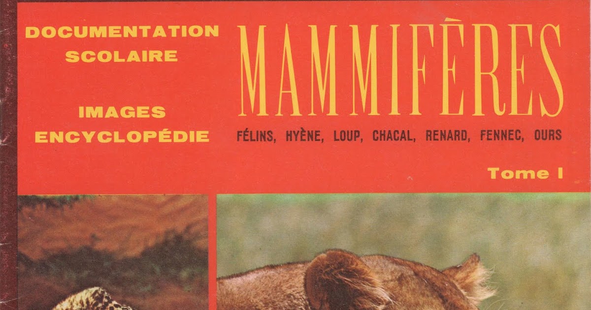 Leçons de choses: Documentation scolaire 138-139-140-141-142 : Mammifères