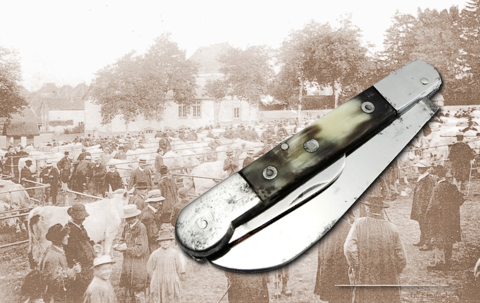 Le Charlois, ou Charollais