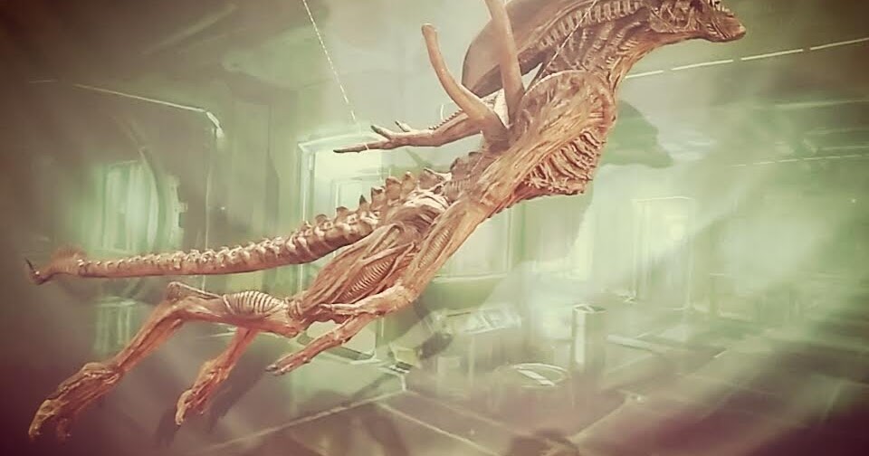 Exposición de `Alien´ a cargo de Réplicas de Cine | Chica Sombra