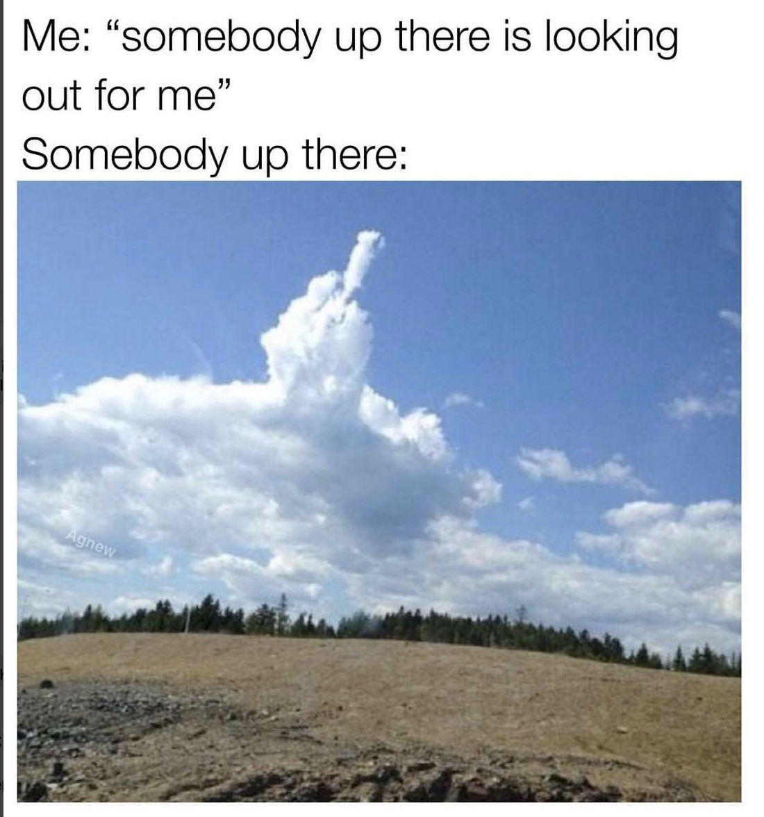 54 Random Memes Photos That Make You So Hilarious | 9GIG