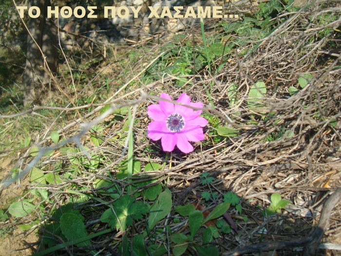 TΟ ΗΘΟΣ ΠΟΥ ΧΑΣΑΜΕ...: Καλημέρα και σήμερα...