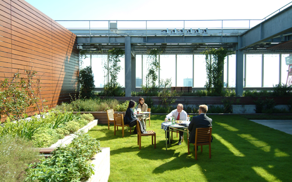 Shedworking: The rise of gardens in the office