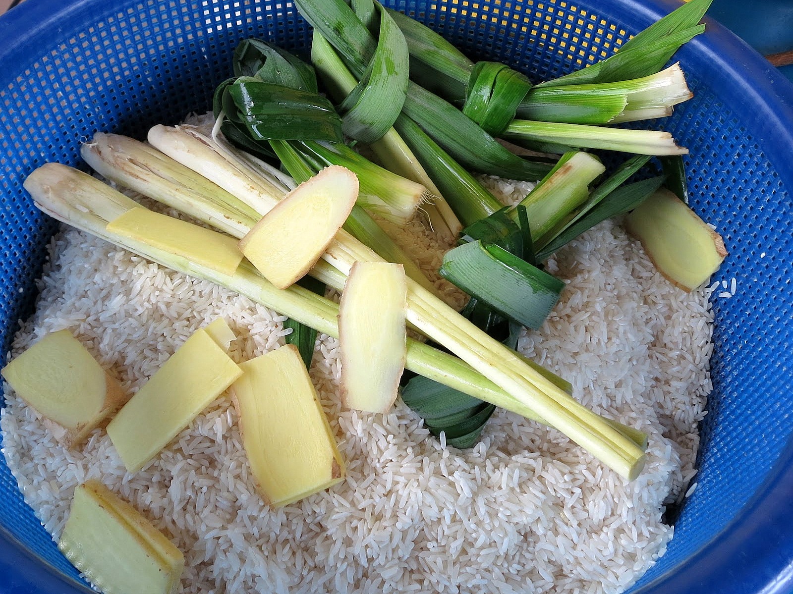 Singapore Foraging Diary · Edible Wild in our Concrete Jungle |Tony ...