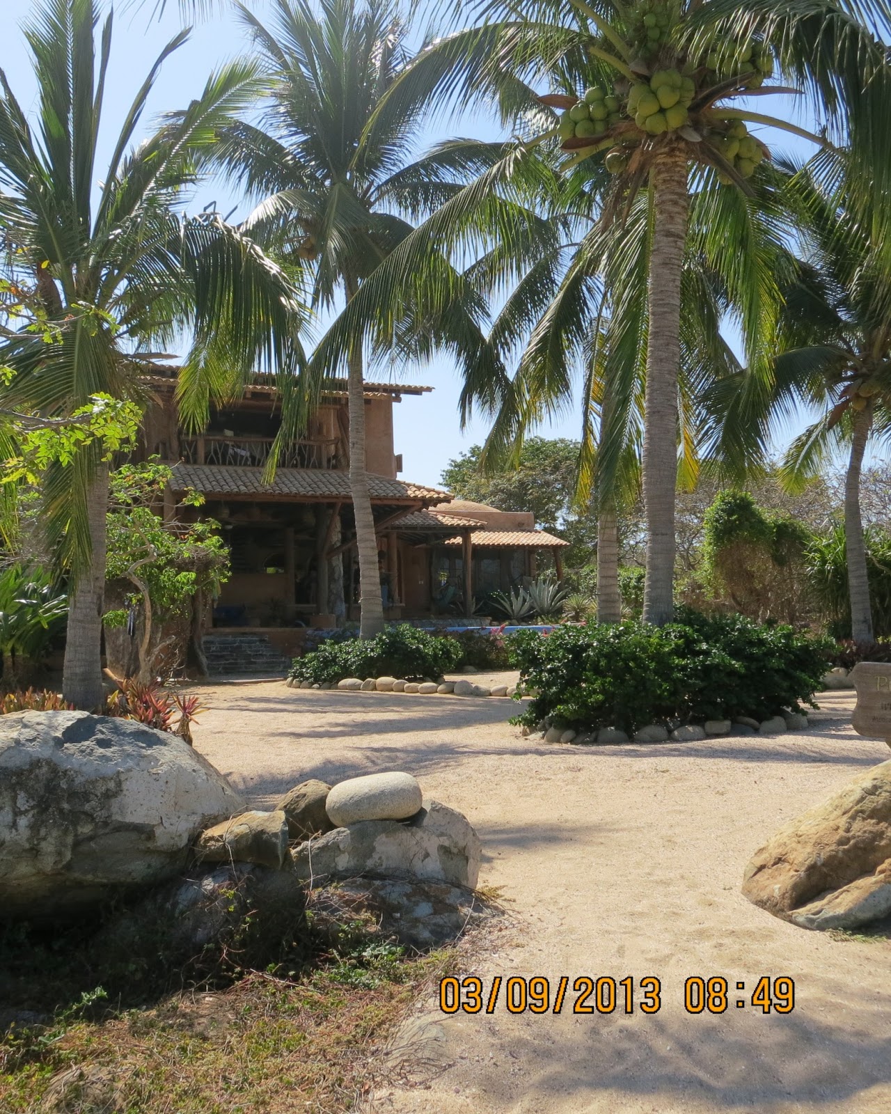 Here we go again......!: At La Playa Troncones, Guerrero, Mx