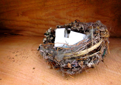 La acequia: Un nido de palabras. Con aire de haiku.