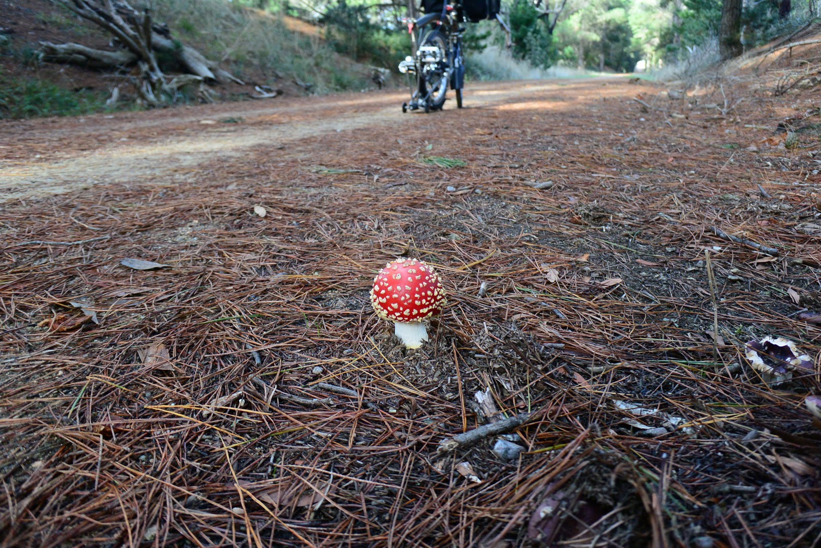 Brompton Anywhere to Go: Brompton goes to the Ballarat-Skipton Rail Trail
