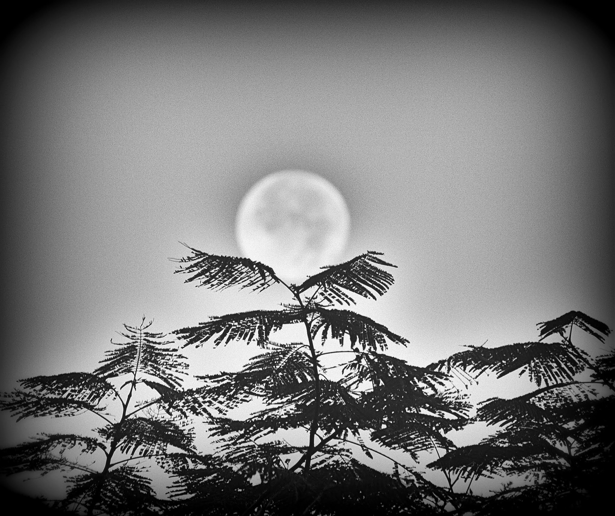 Mumbai Daily: May 2021