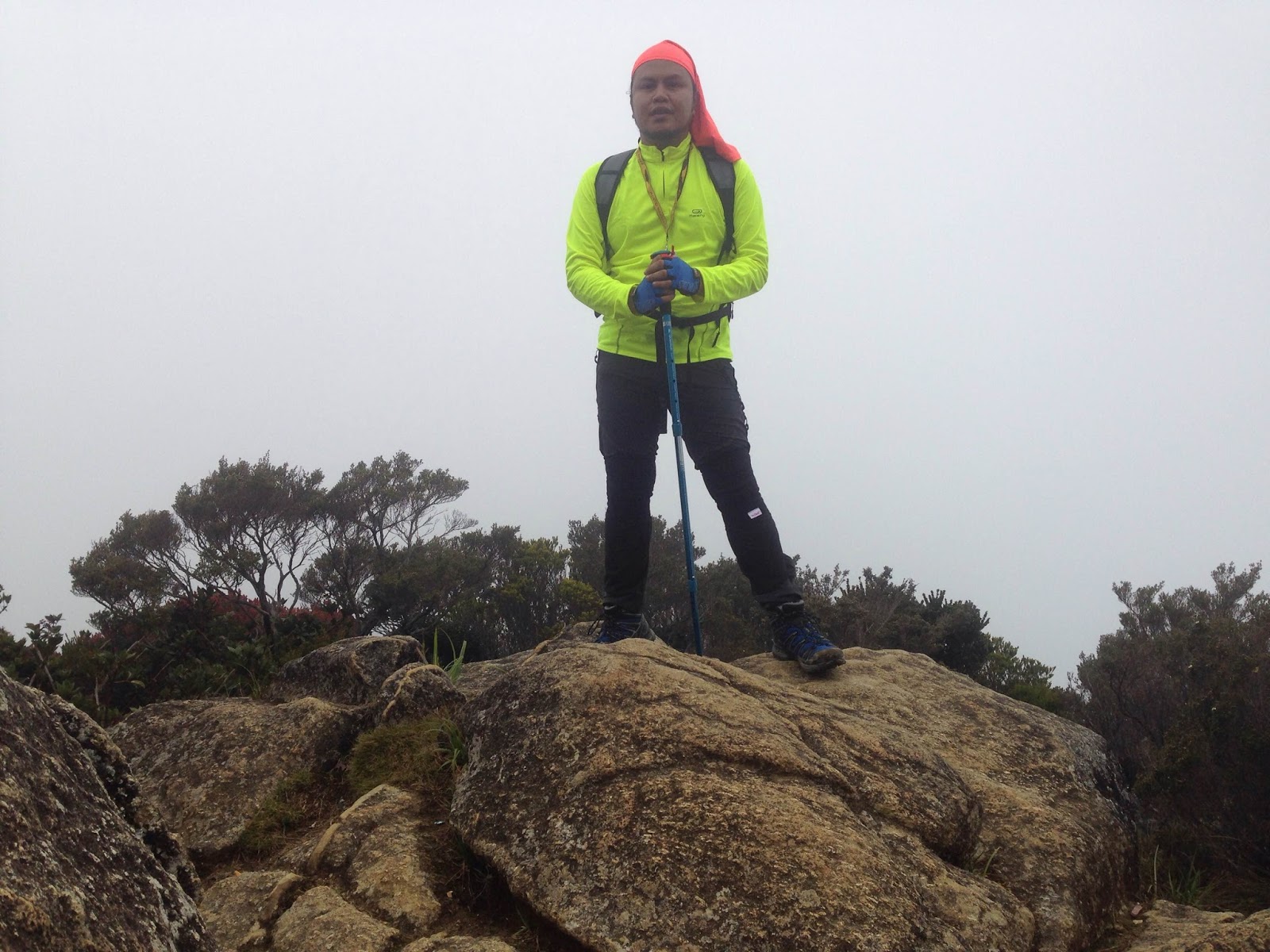 Aloy Paradoks Menulis