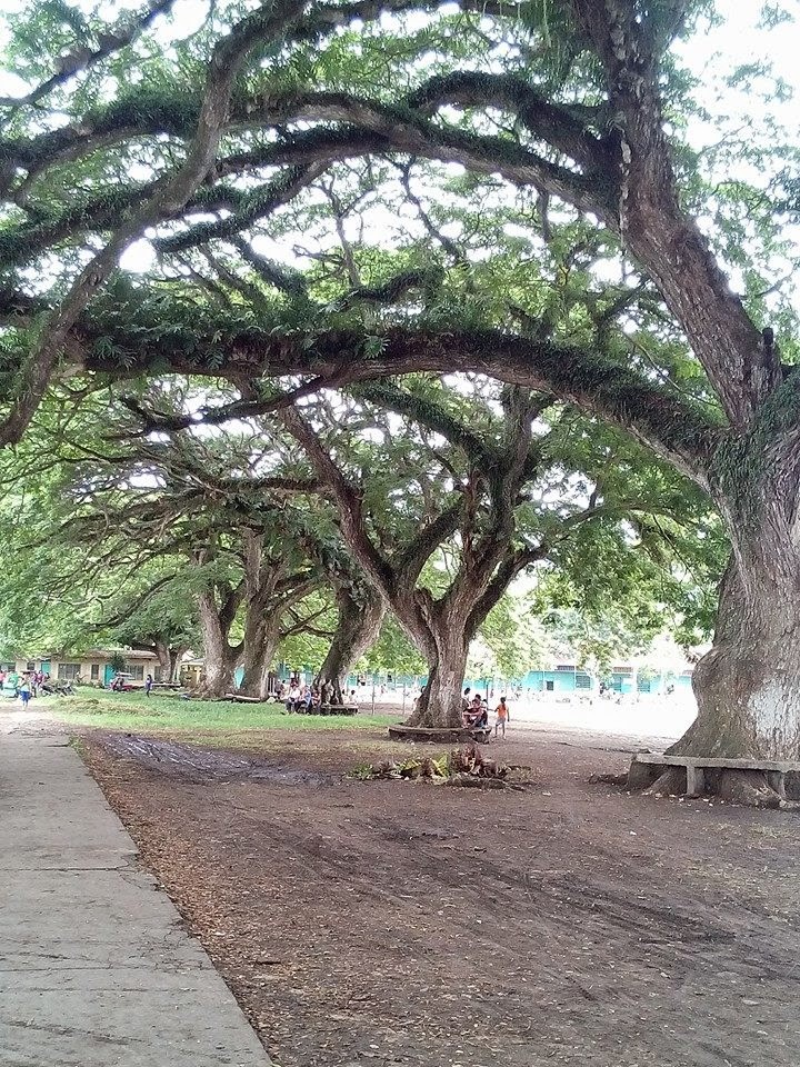 A Glimpse of Glan's Heritage - Chix & Tell