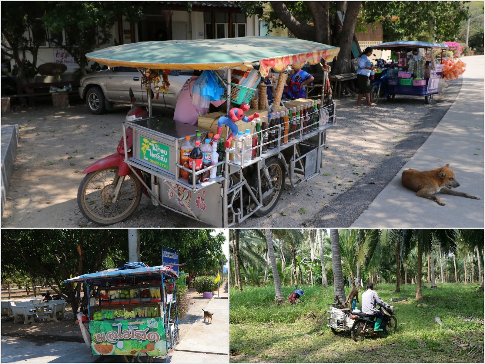 Neues aus Thailand #6 Mit dem Saleng | Tinaspinkfriday - Modeblog ...