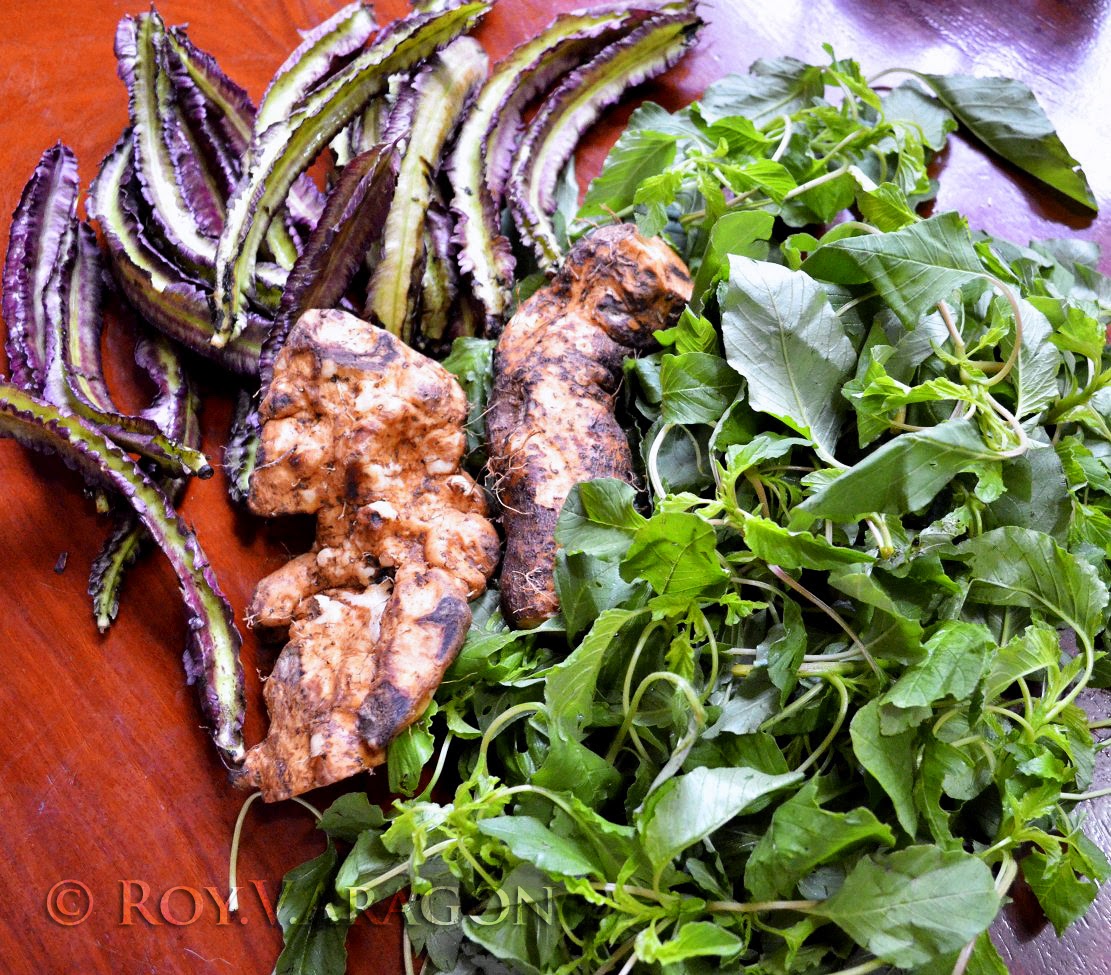 buridibod a kamangeg nga addaan pallang ken kalunay sa nasagpawan ...