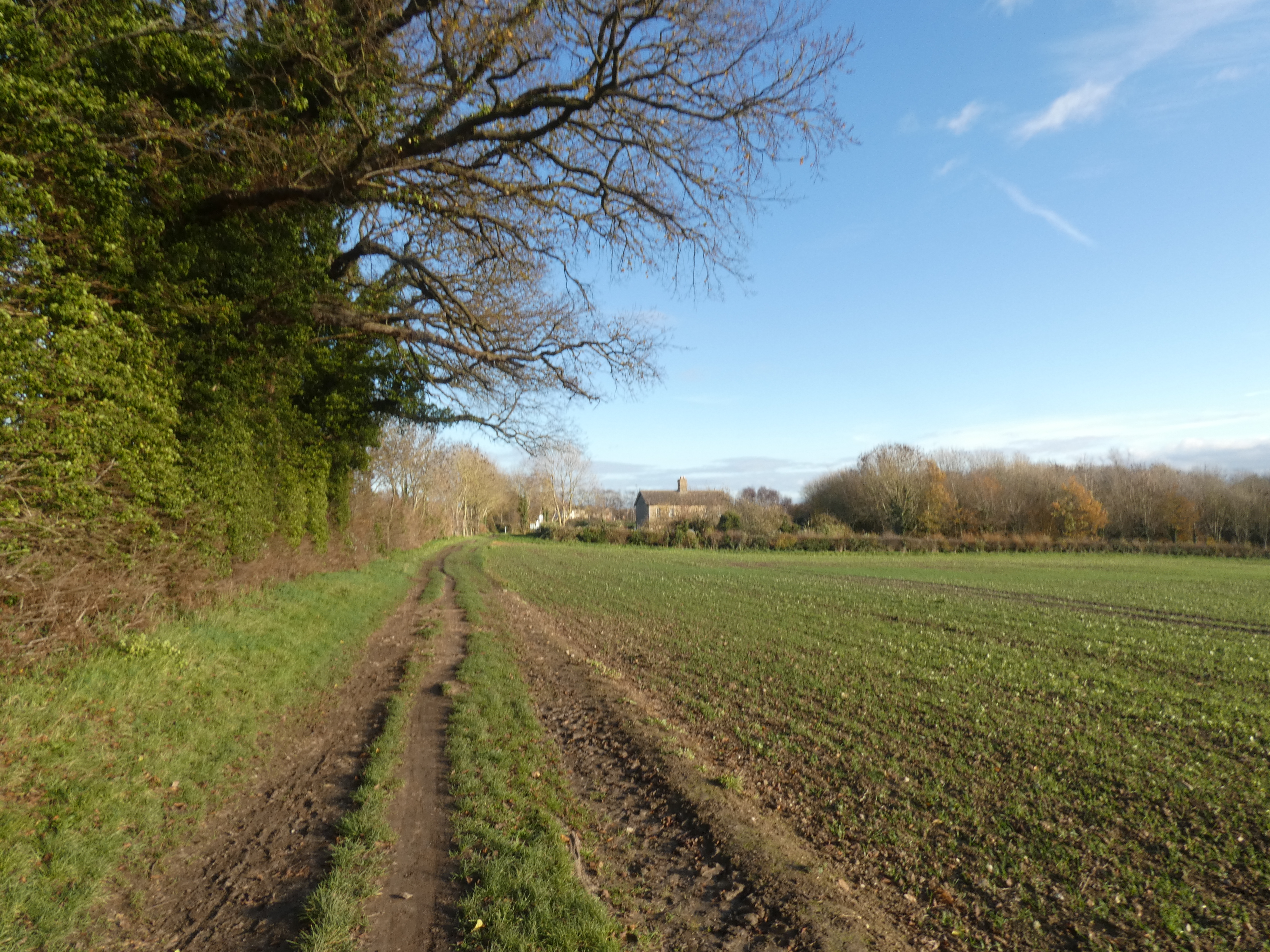 Boz North's Trail - Walking Blog: Whaddon to Cambridge via The Wimpole ...