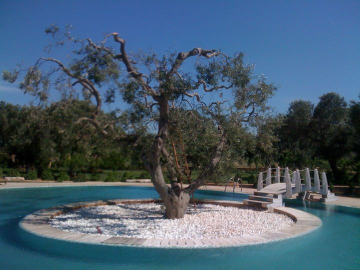 Cool Swimming Pool in Puglia Italy - Dream of Italy