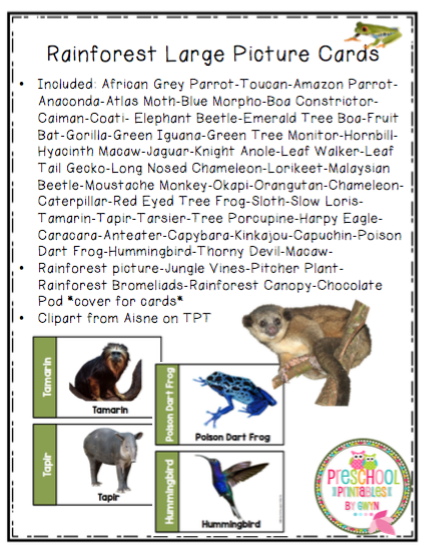 Rainforest Large Real Photo Cards (50 cards) ~ Preschool Printables