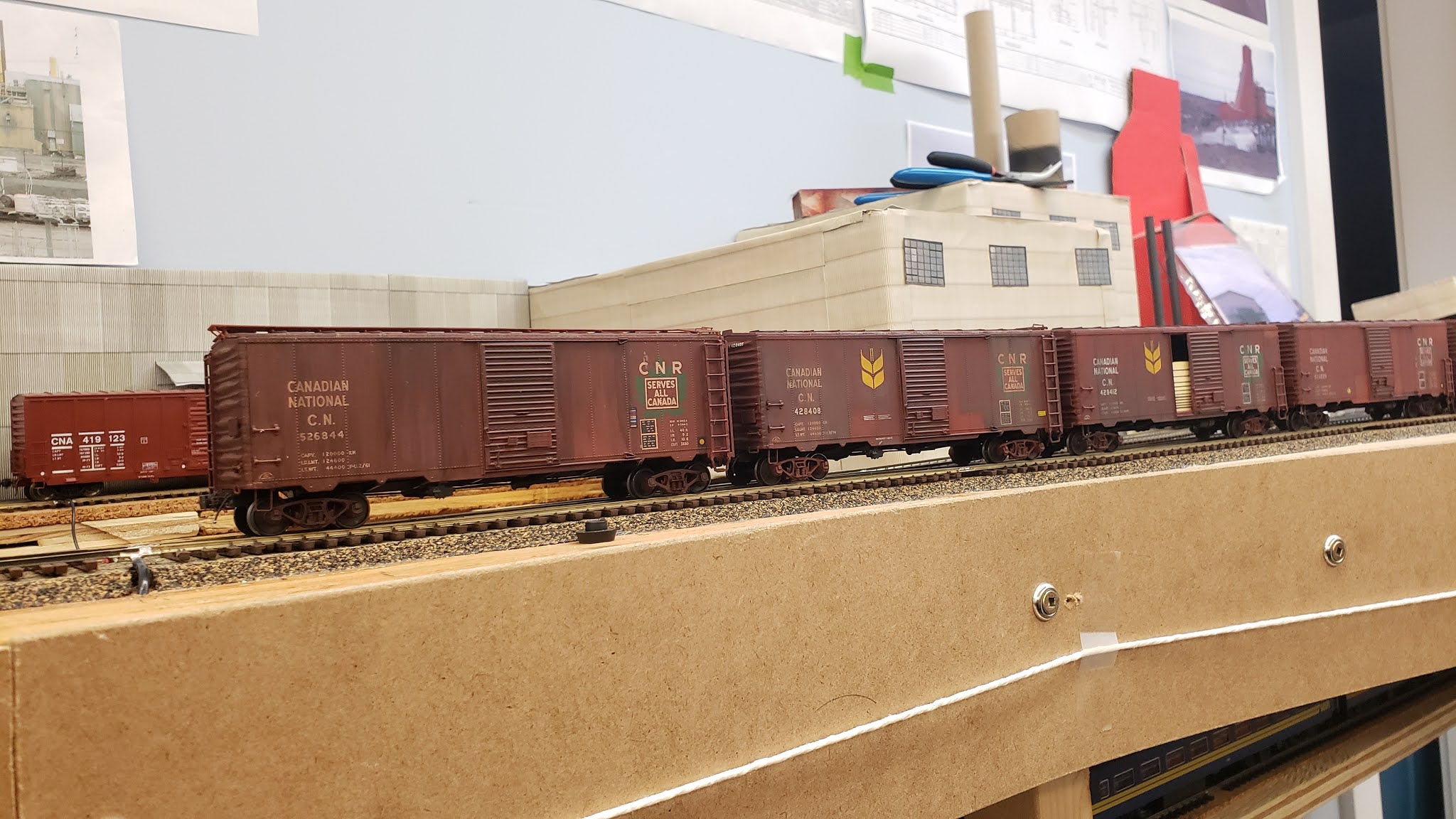 CN Boxcars a Plenty