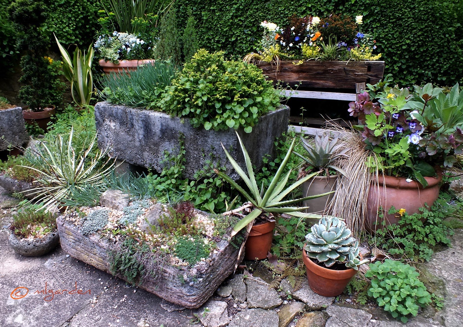 Garden Design Ideas: The Layered Garden