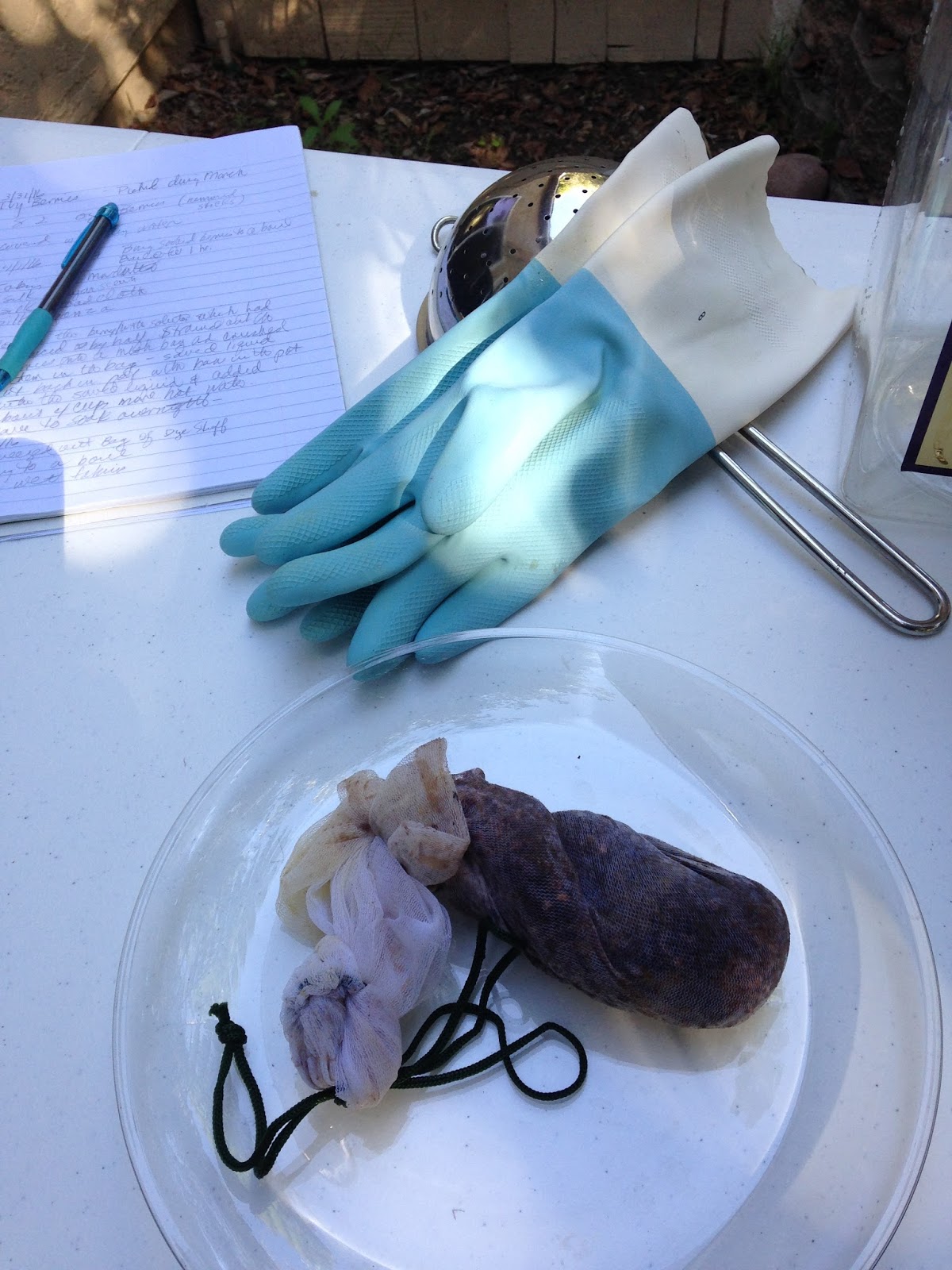 "The Adjacent Possible" Ann Olsen's Art Blog