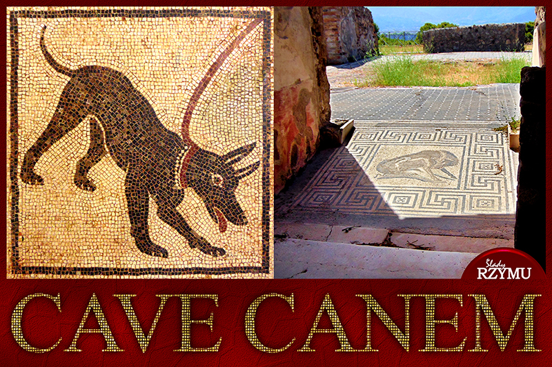 CAVE CANEM