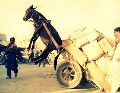 Footless Crow: October 2012