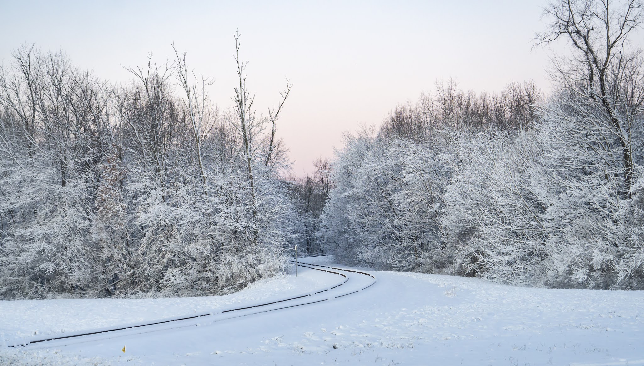 January Snow Storm Pics