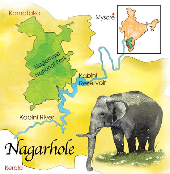 KABINI .. The word spells MAGIC