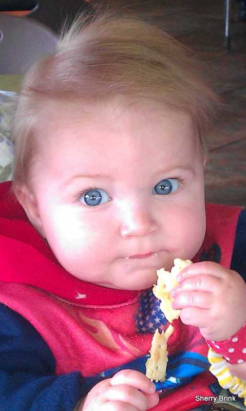 Sherry Brink's Family History - Free Memories: Sherry's photos