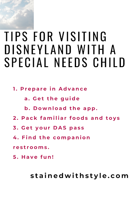 Visiting Disneyland with a Special Needs Child! | Stained with Style