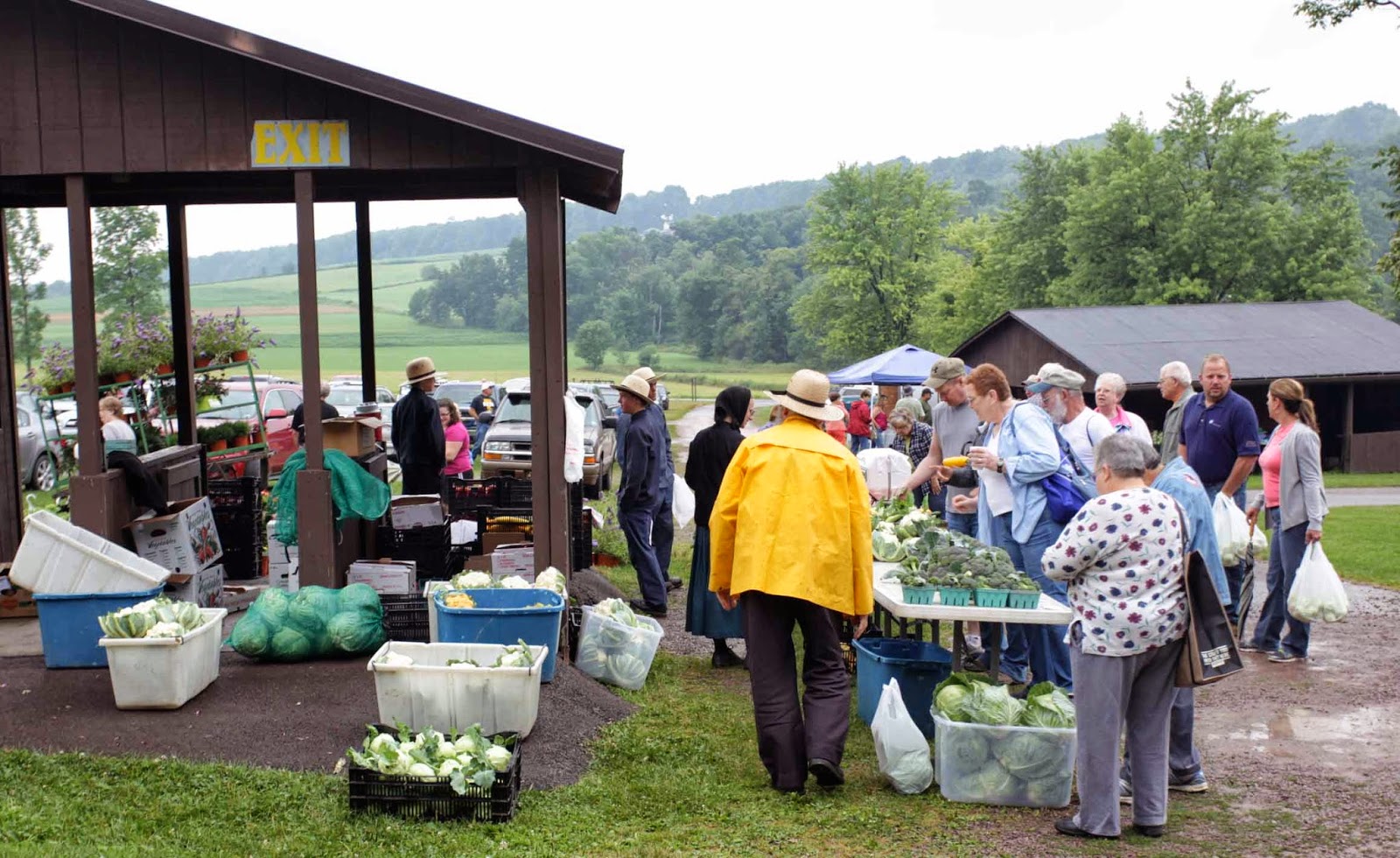 An Amish Market