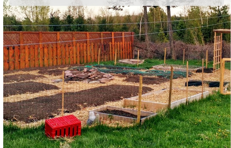 Sheryl's Garden: Lasagna Gardening