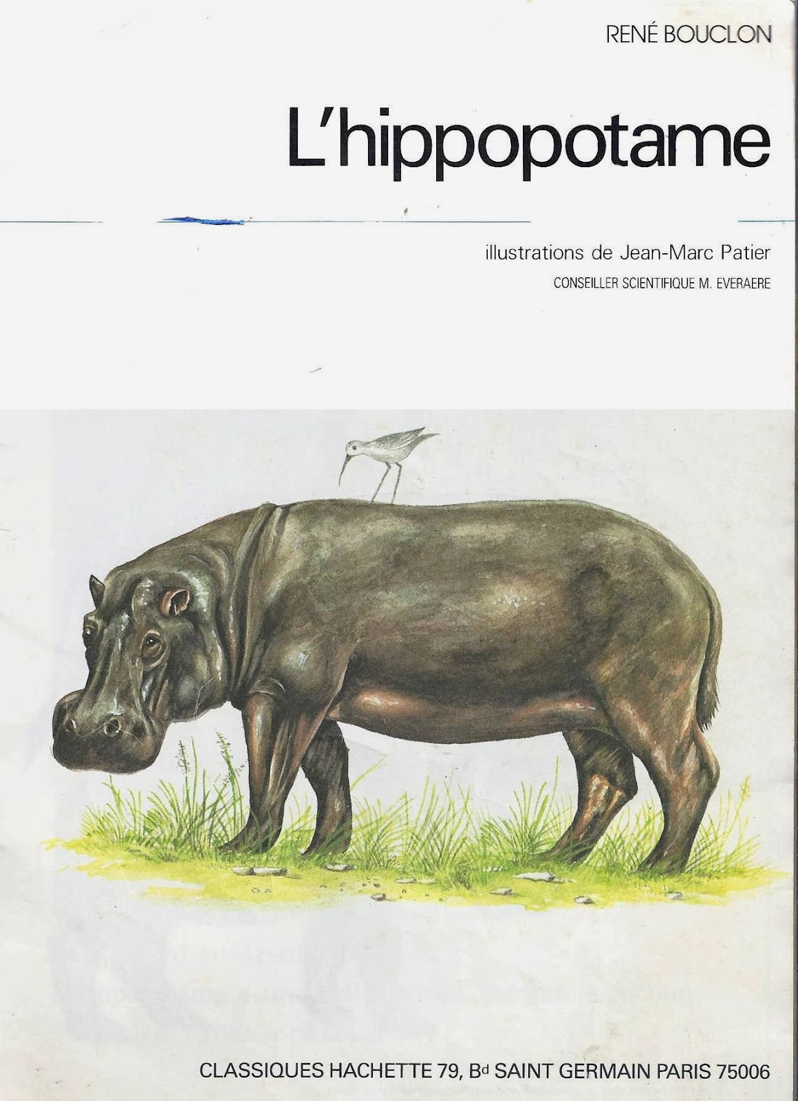Leçons de choses: L'hippopotame