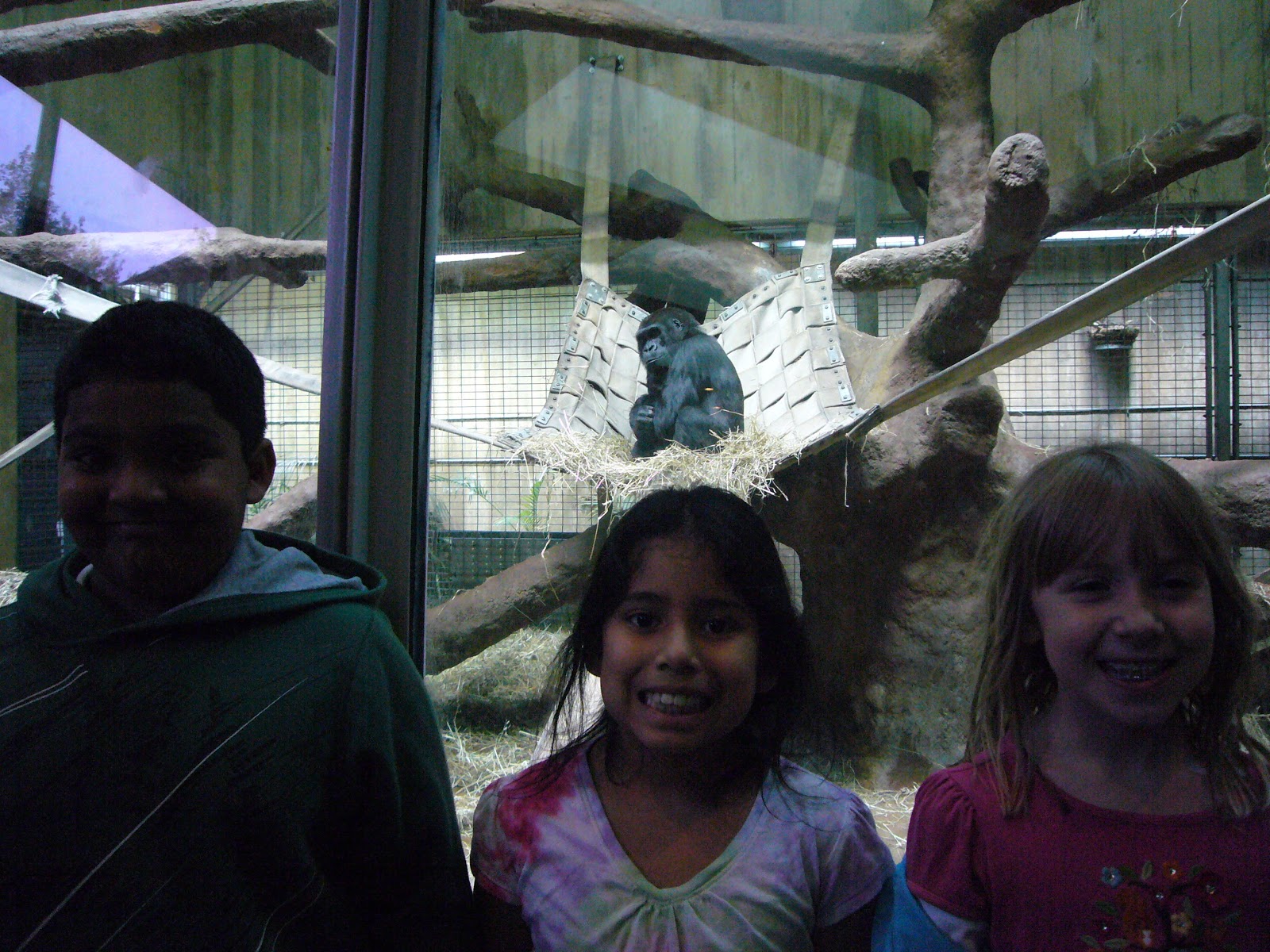 Daniels Run Elementary