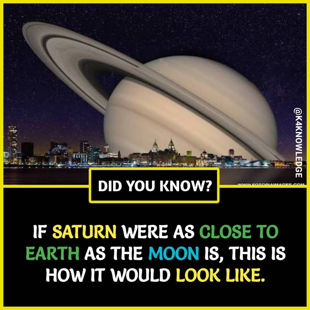 [40+] Amazing Facts, Interesting Facts