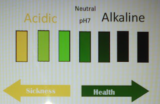 Your Health and You: The pH Factor – The Key To Good Health