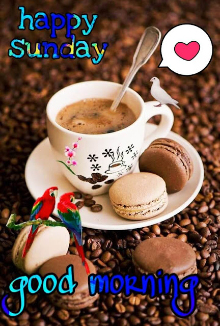 TOP 20+ Latest Good Morning Sunday Images, Photos & Pictures - Mixing ...