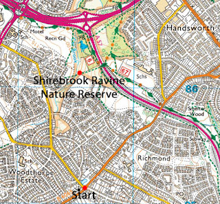 The Language of Stone: Carbrook Ravine Nature Reserve