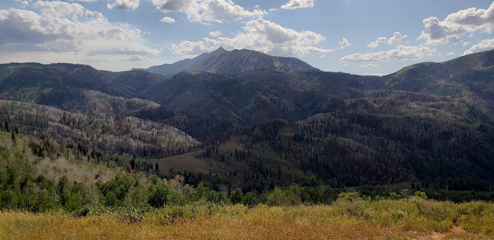 The Walker Family: Sunday Drive Up Payson Canyon