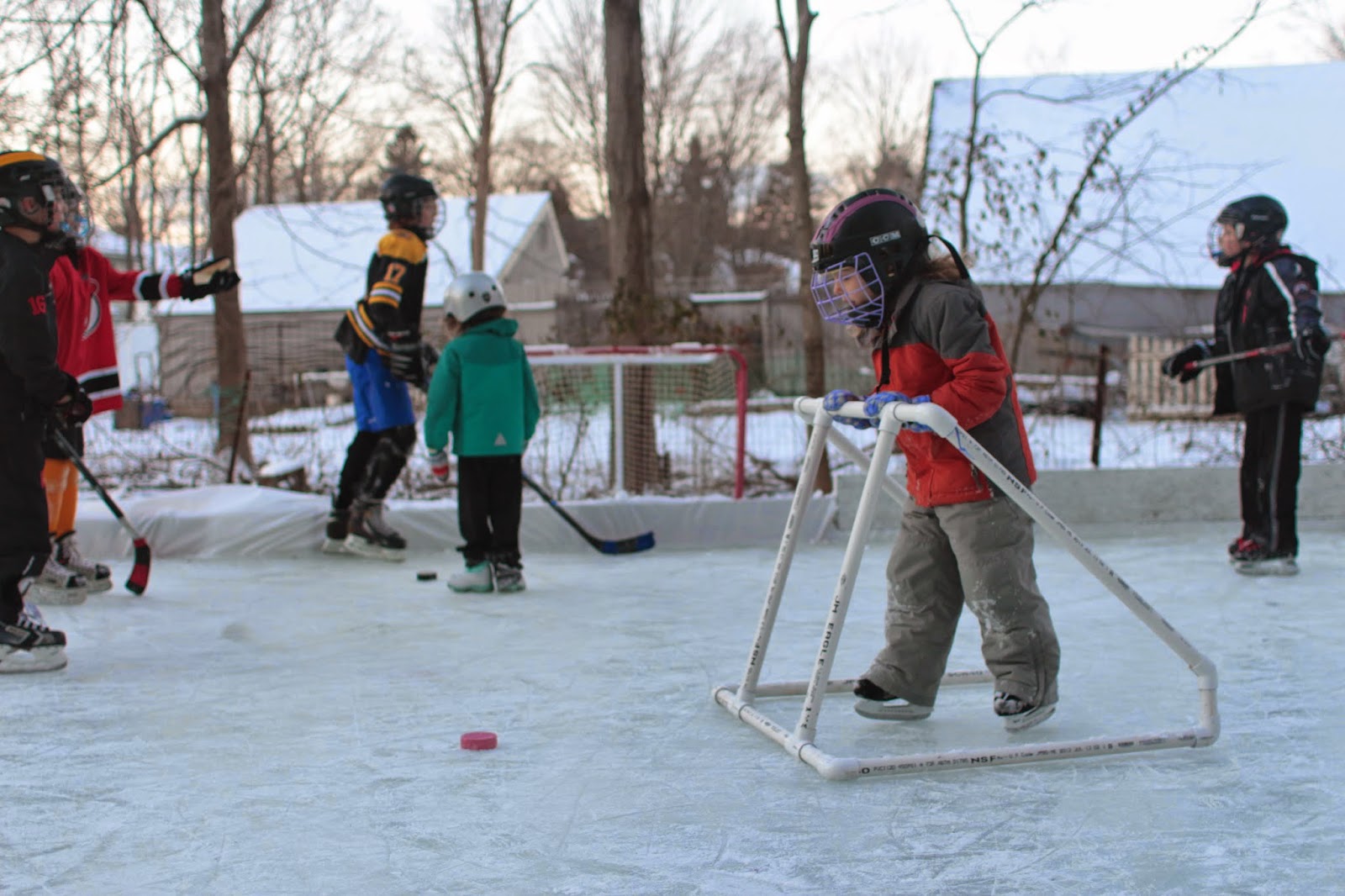 Ye Olde Crazeytowne Bakeree: Backyard Hockey