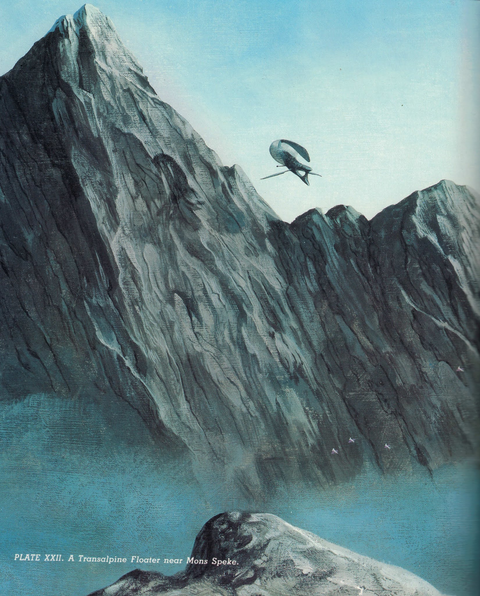 Manospondylus: The Many Mysteries of Darwin IV - Part 2