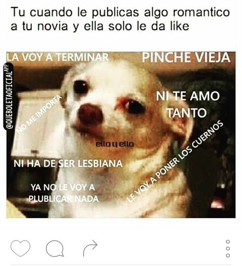 Memes,Imagenes con frases graciosas, Chistosas, Divertidas - Imágenes ...