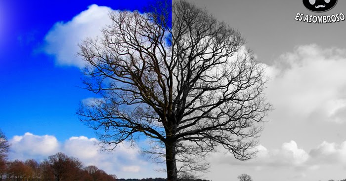 Es Asombroso: La tristeza afecta la percepción de los colores.