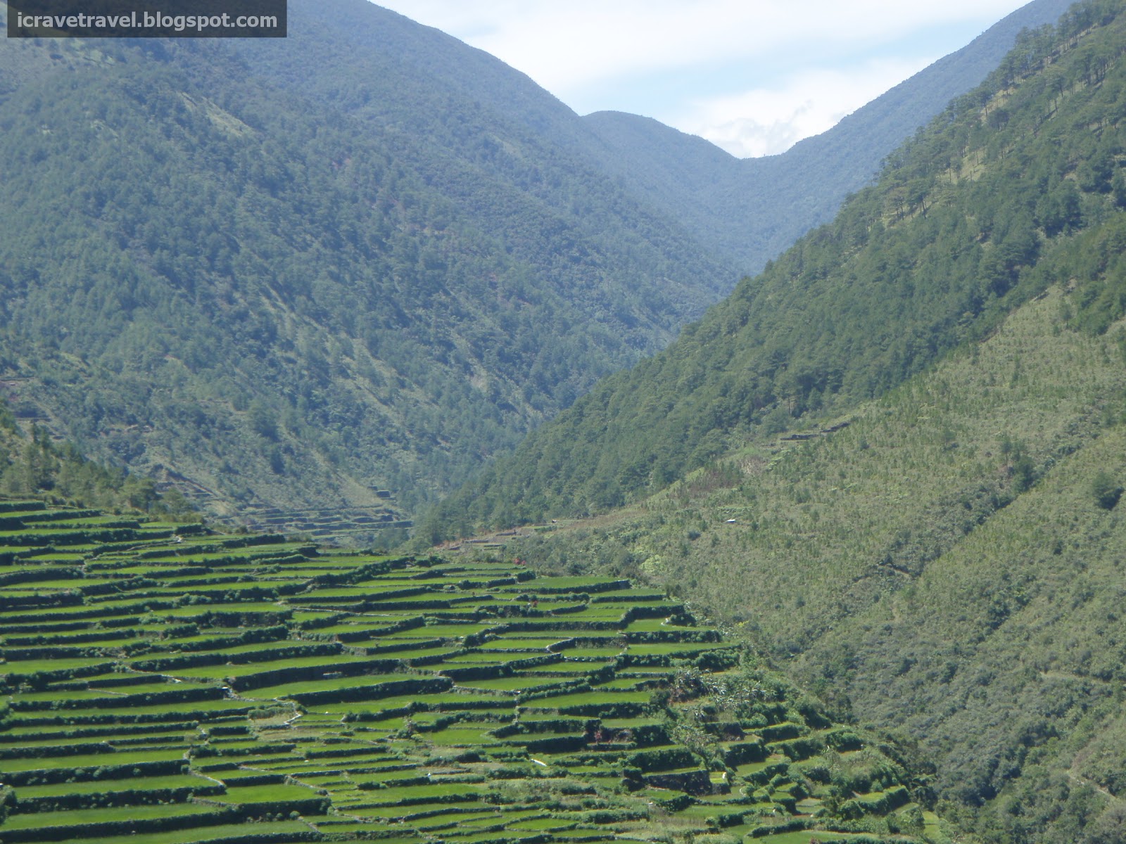 i crave travel...: sagada trip: stop-over at mt. polis and bay-yo rice ...